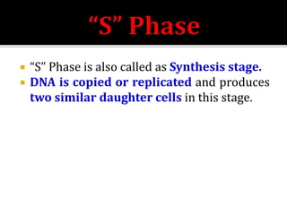 Cell Cycle | PPTX