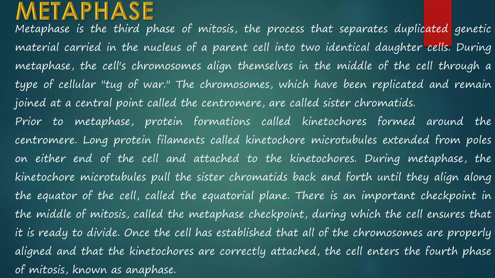 Cell cycle and Check points | PDF