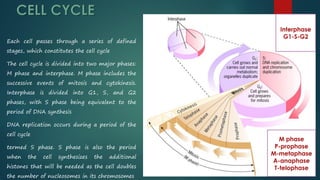 Cell cycle and Check points | PDF