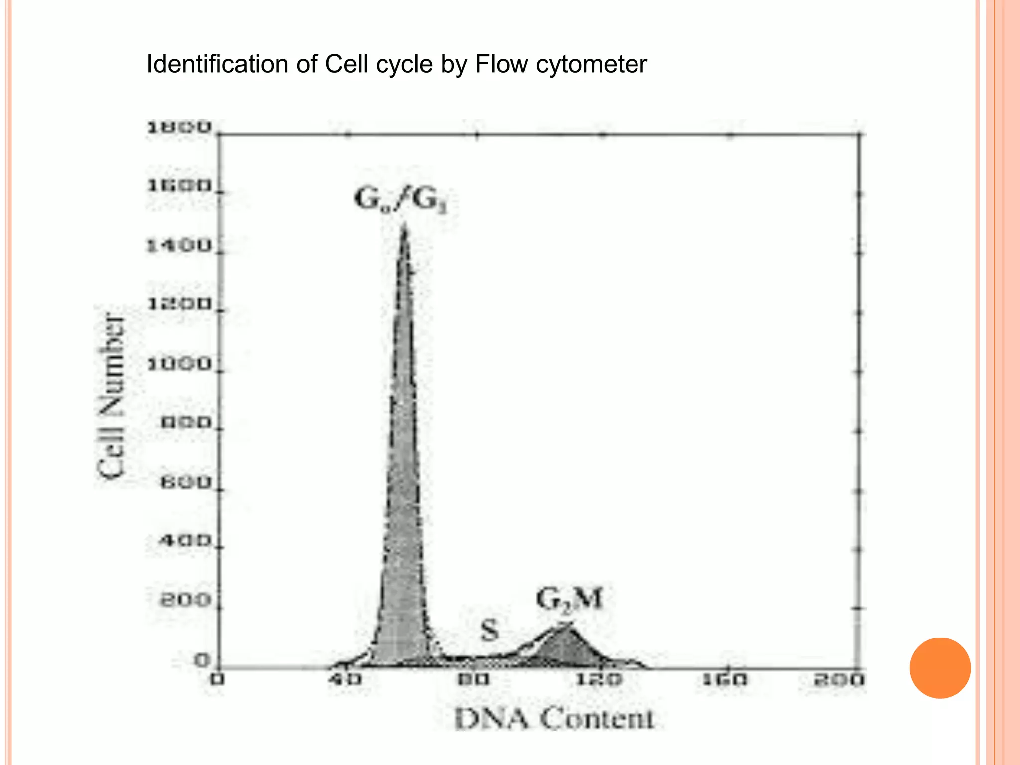 Cell cycle | PPTX | Biological Sciences | Science