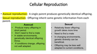Cell cycle | PPT