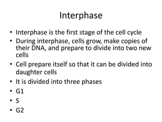 Cell cycle | PPTX