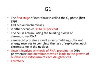 Cell cycle | PPTX