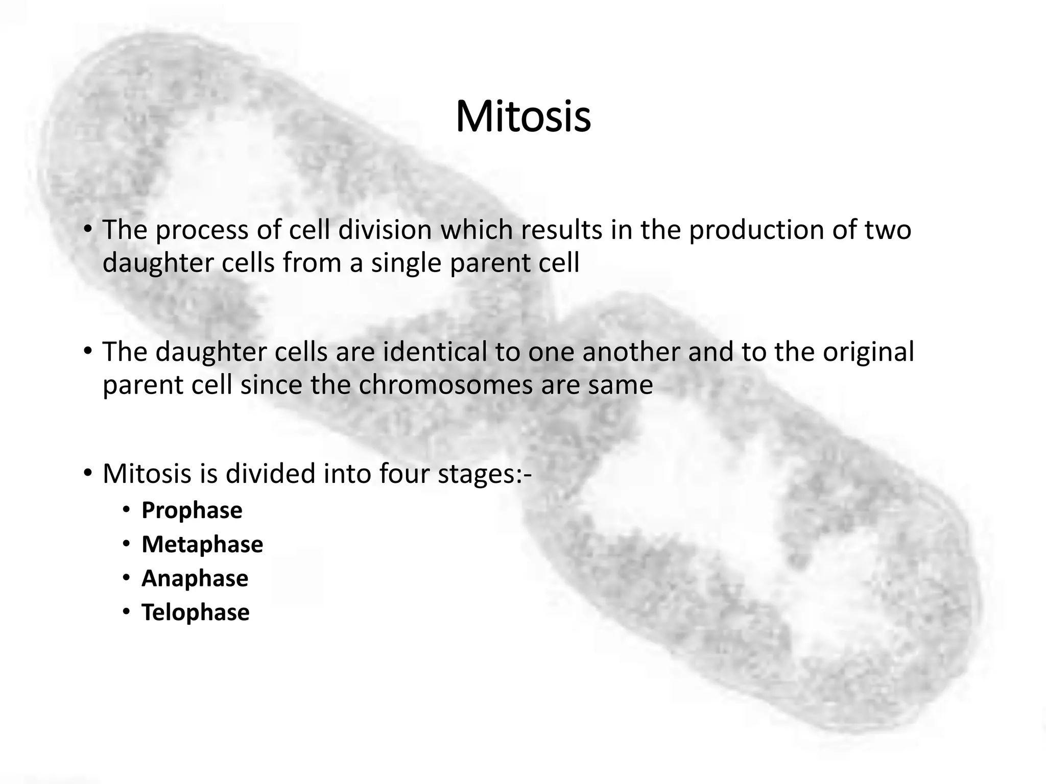 Cell cycle and Cell Division | PPT