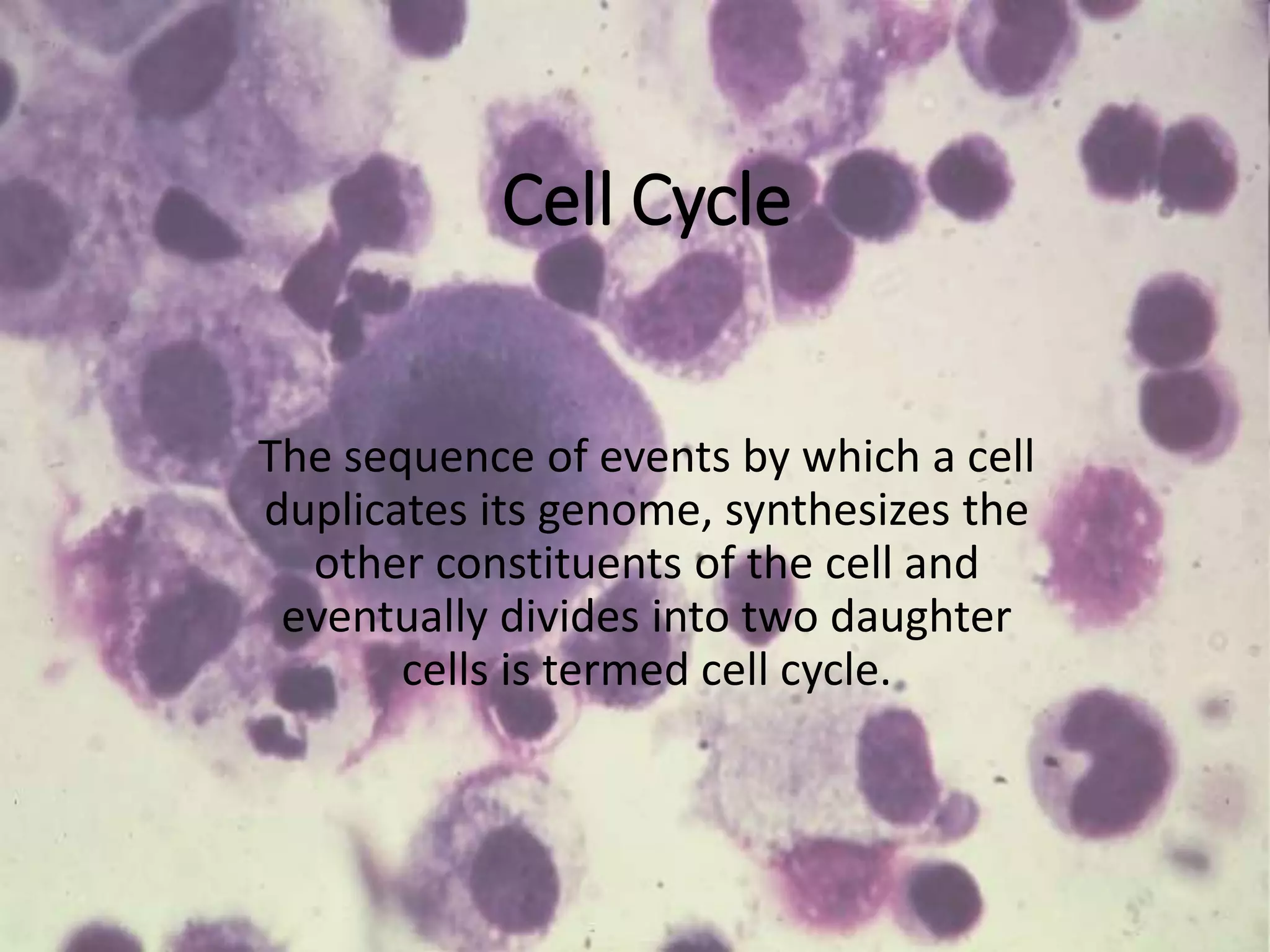 Cell cycle and Cell Division | PPTX
