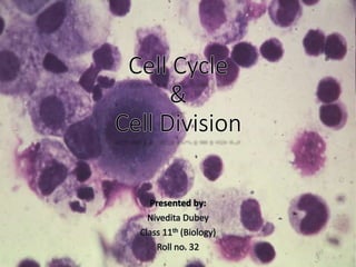 Cell cycle and Cell Division | PPT