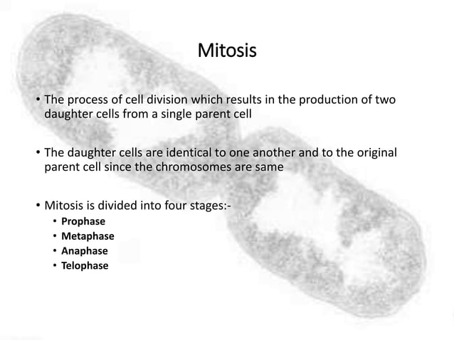 Cell cycle and Cell Division | PPT