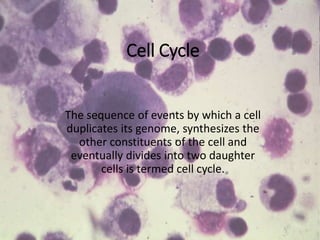 Cell cycle and Cell Division | PPT