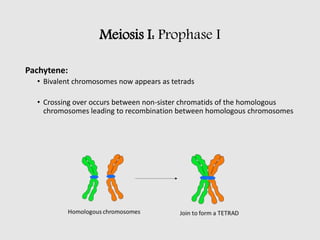 Cell cycle and Cell Division | PPT