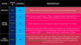 Cell cycle | PPTX