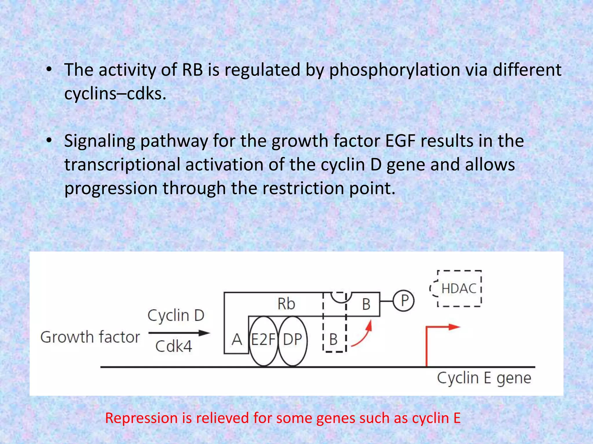 Cell cycle | PPTX