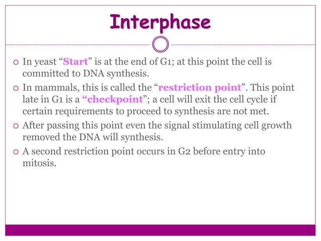cell cycle and control checkpoints throght cyclin cdk complex | PPT