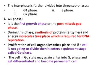 Cell cycle | PPT