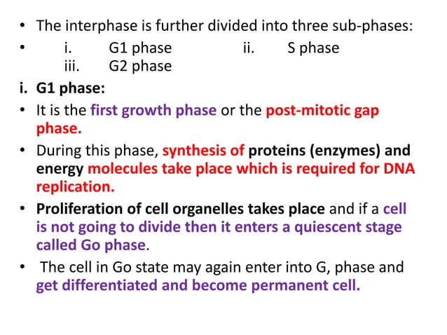 Cell cycle | PPT