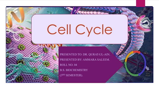 Cell cycle | PPT