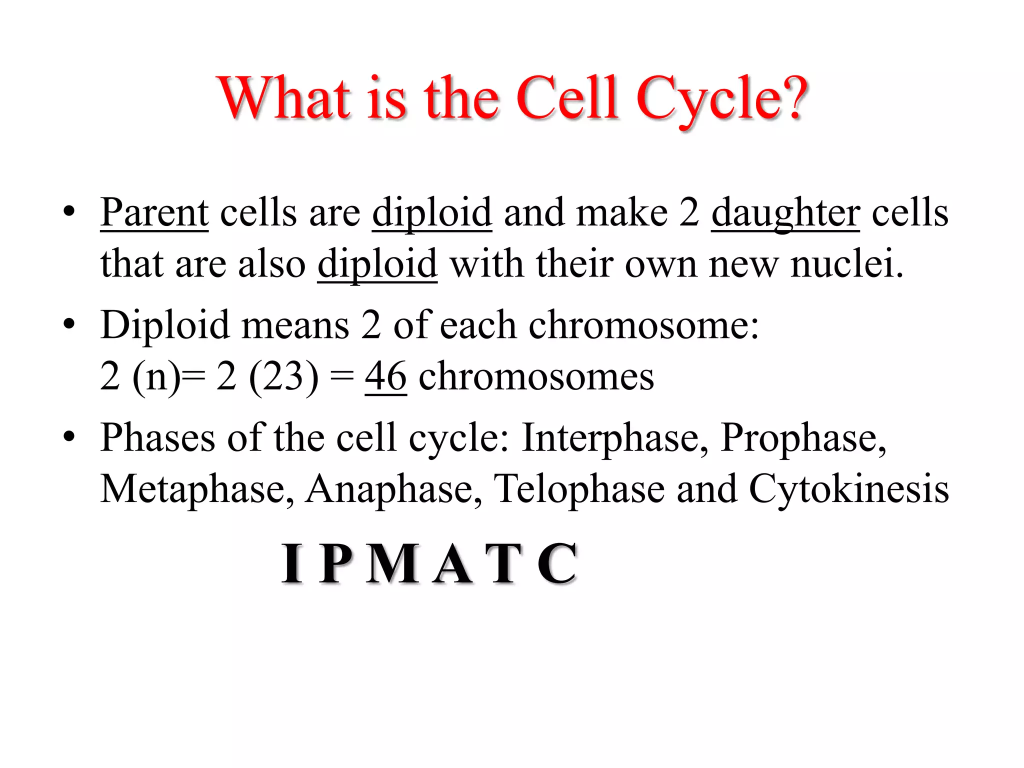 Cell cycle | PPTX