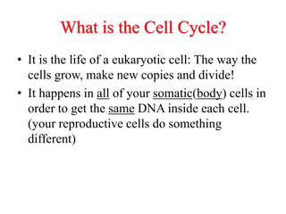 Cell cycle | PPTX