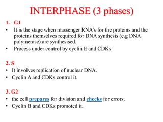 Cell cycle | PPTX