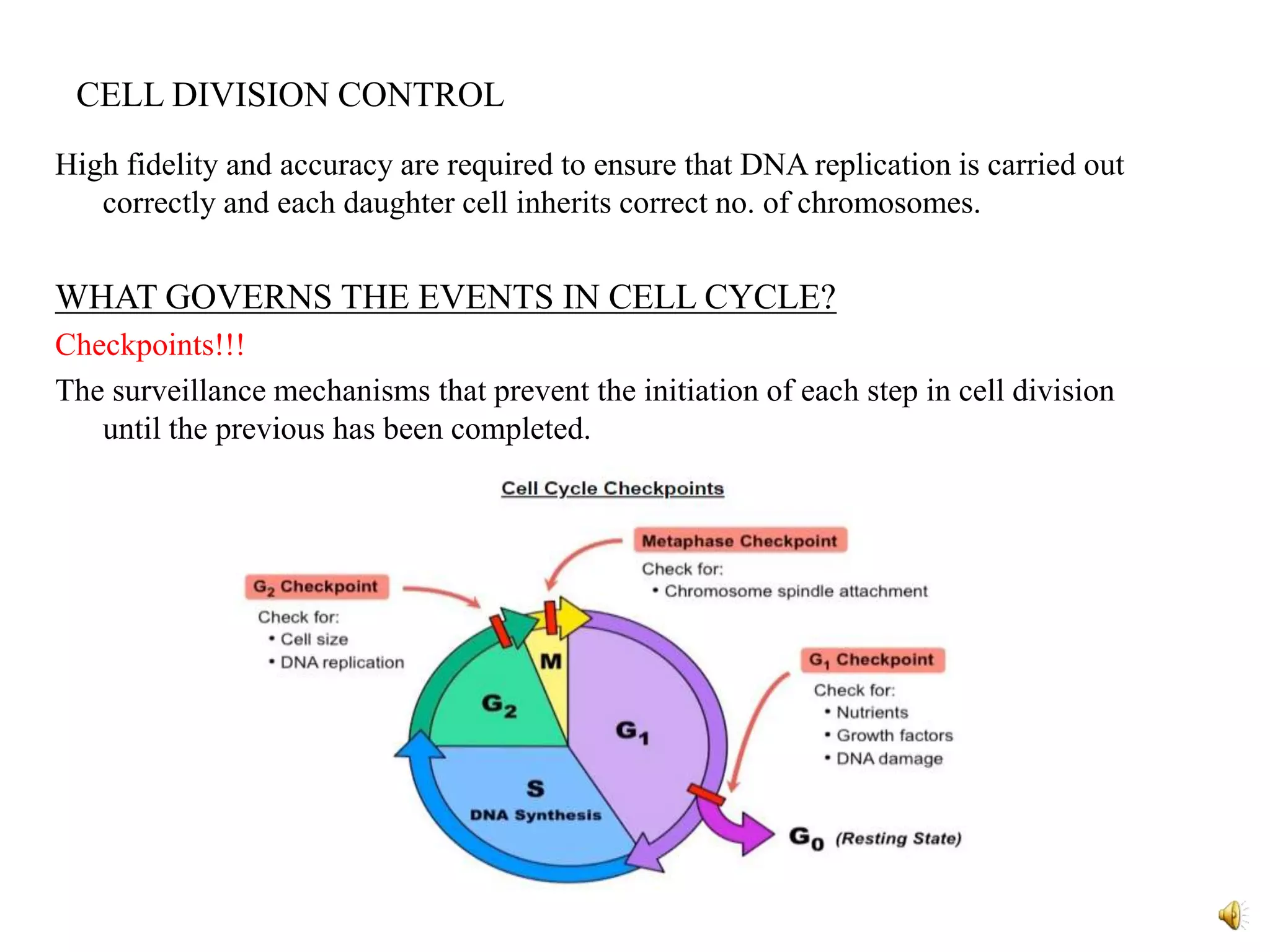 Cell cycle regulation Basics | PPT