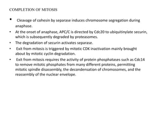 Cell cycle regulation Basics | PPTX