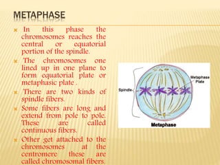 Cell cycle | PPTX