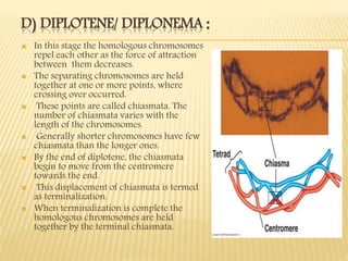 Cell cycle | PPT