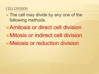 Cell cycle | PPT