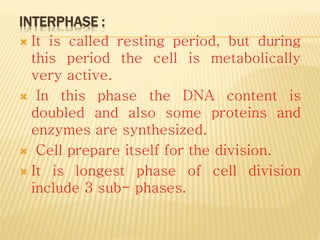 Cell cycle | PPT