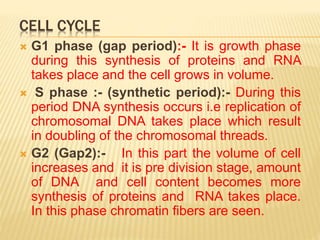 Cell cycle | PPTX
