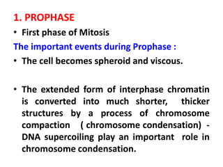 CELL CYCLE, MITOSIS & MEIOSIS SMG | PPTX