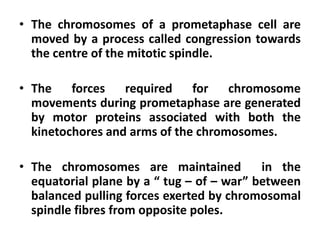 CELL CYCLE, MITOSIS & MEIOSIS SMG | PPTX