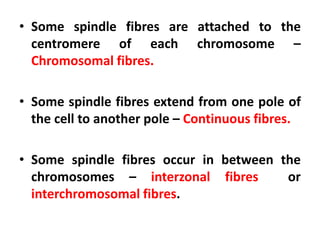 CELL CYCLE, MITOSIS & MEIOSIS SMG | PPTX