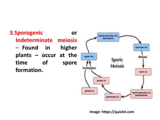 CELL CYCLE, MITOSIS & MEIOSIS SMG | PPTX