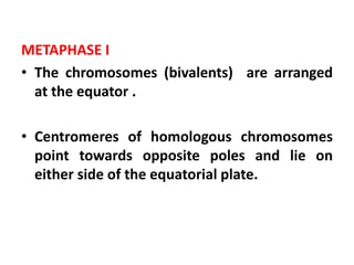 CELL CYCLE, MITOSIS & MEIOSIS SMG | PPTX