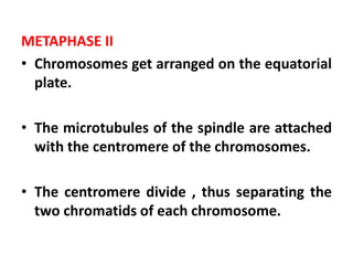 CELL CYCLE, MITOSIS & MEIOSIS SMG | PPTX