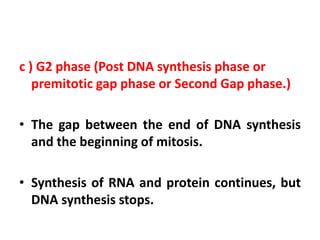 CELL CYCLE, MITOSIS & MEIOSIS SMG | PPTX