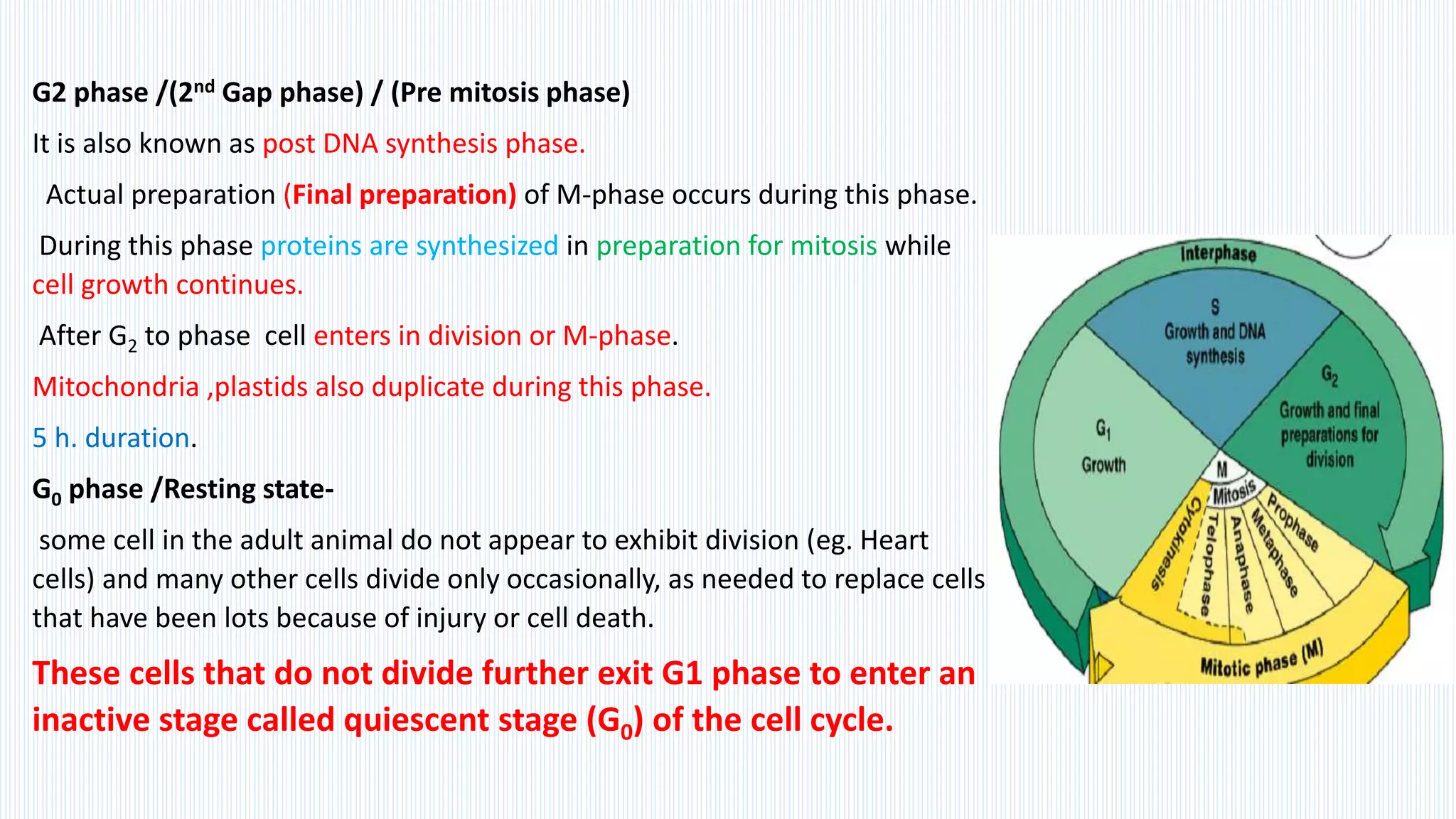 Cell cycle, check point, | PPTX