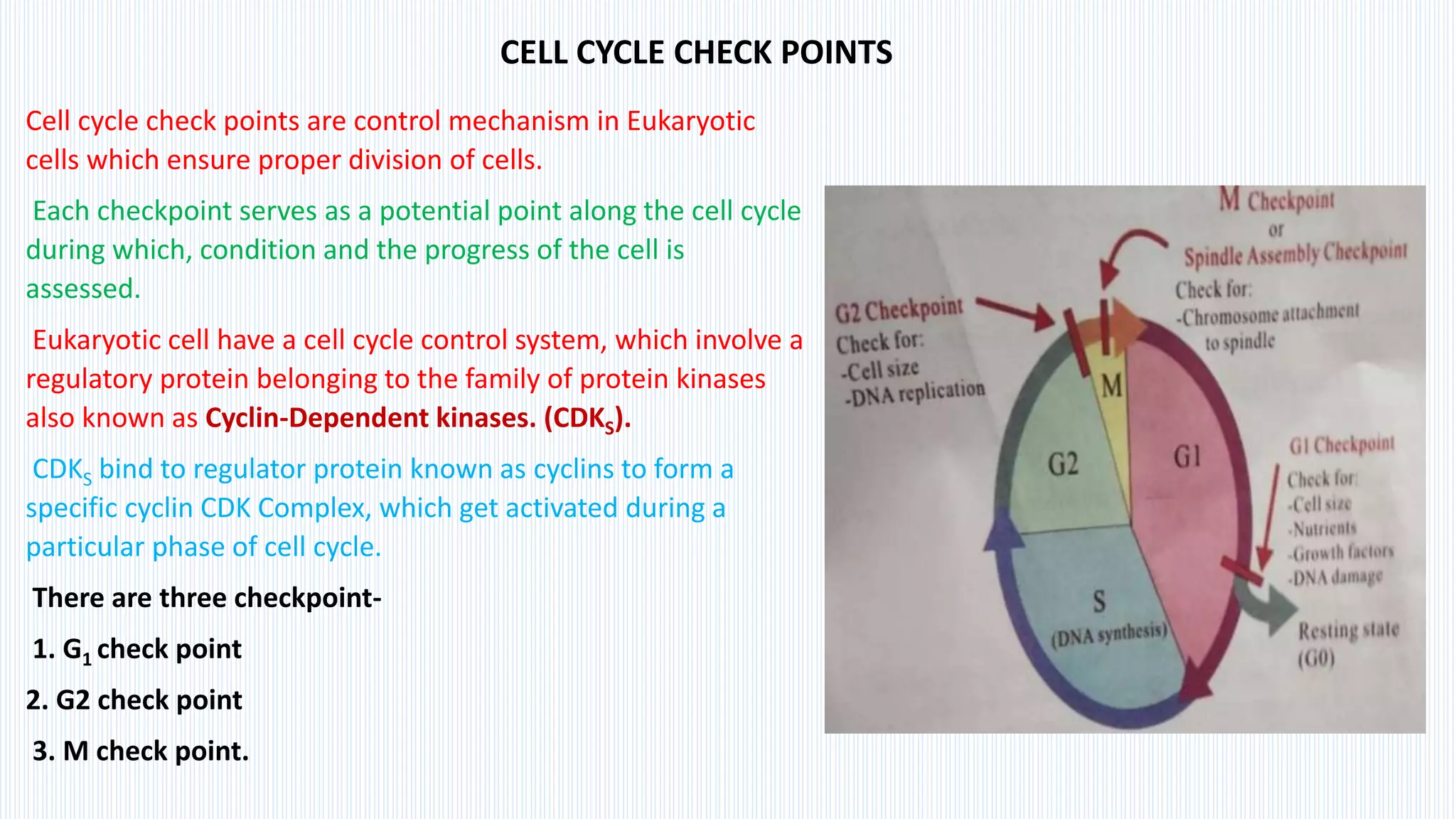 Cell cycle, check point, | PPTX