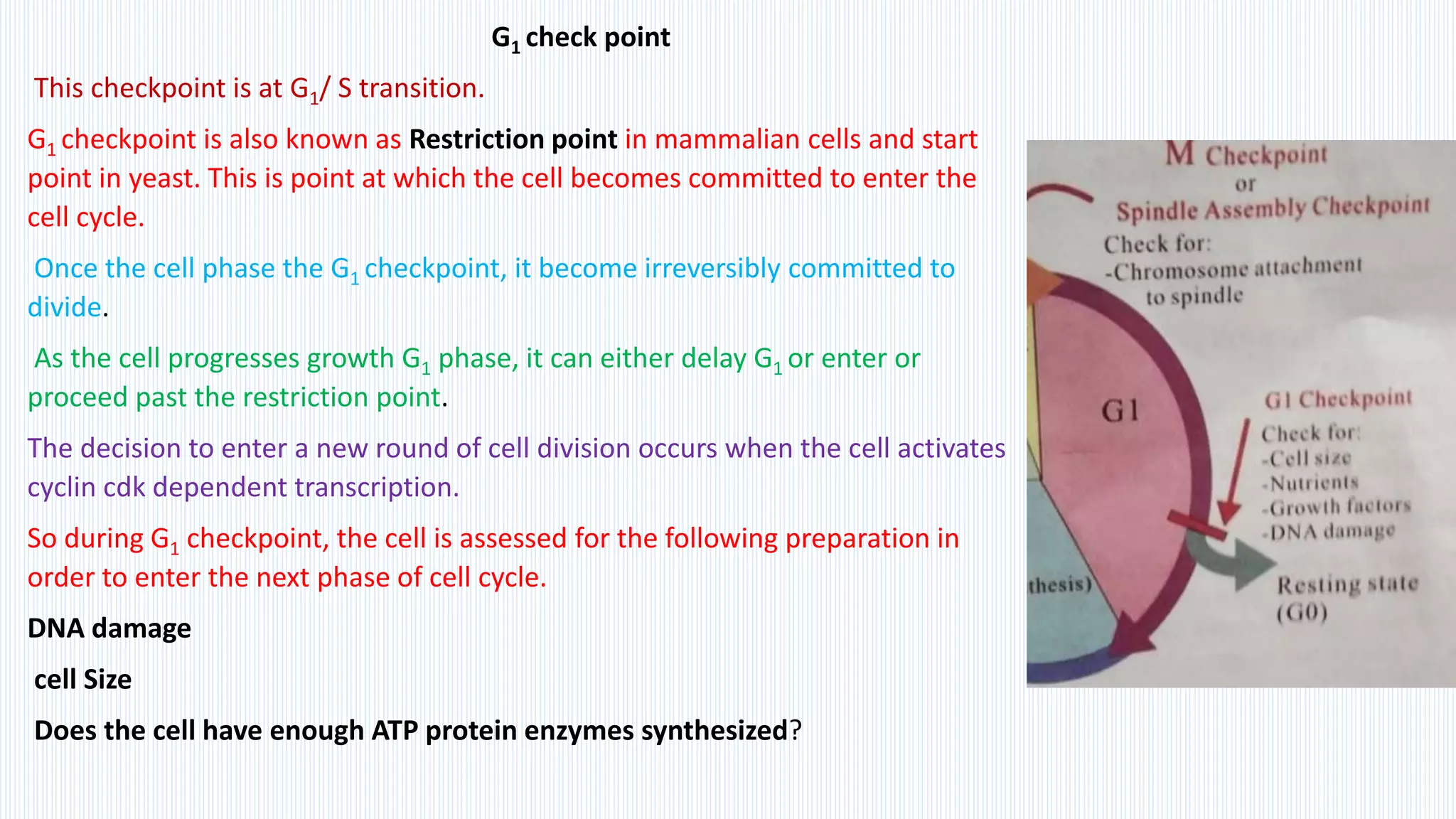 Cell cycle, check point, | PPTX