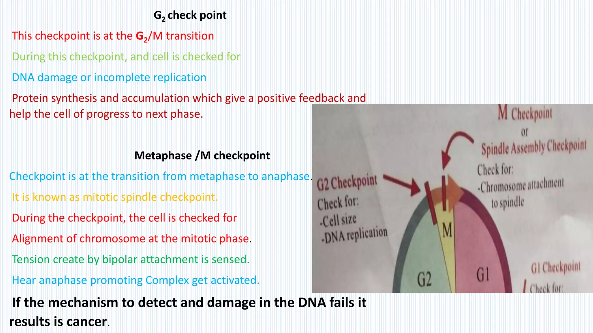 Cell cycle, check point, | PPTX