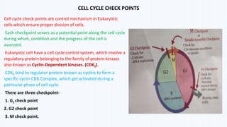 Cell cycle, check point, | PPTX