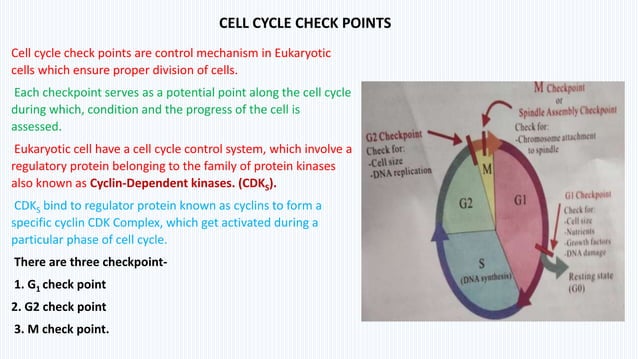 Cell cycle, check point, | PPTX
