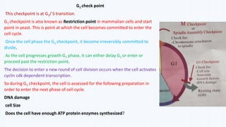 Cell cycle, check point, | PPTX