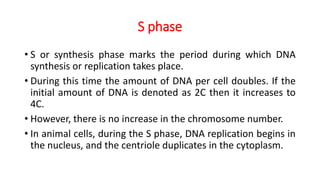 Cell cycle | PPT