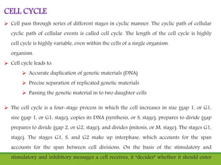Cell cycle | PPT