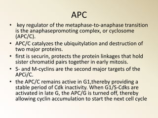 Cell cycle | PPTX