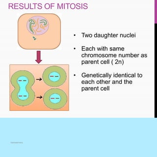 Cell cycle | PPTX