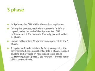 Cell cycle | PPTX
