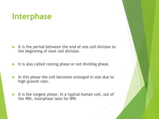 Cell cycle | PPTX