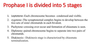Cell Cycle.pptx | Biological Sciences | Science